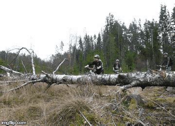 Animated GIF Imgflip