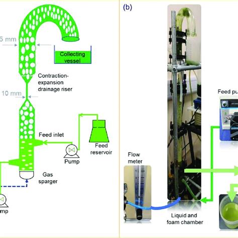 a schematic of experimental setup of the continuous foam flotation