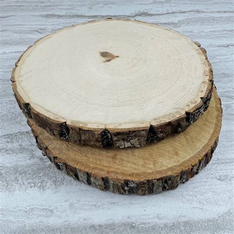 Wilson® Enterprises 4 Pack Natural Basswood Round Michaels