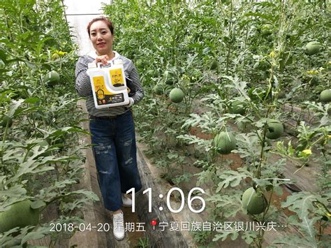 2024澳门天天六开彩免费资料管家婆一码一肖资料澳门一码一肖一特一中2024澳门资料大全正版资料，2024澳门管家婆资料正版大全新澳门