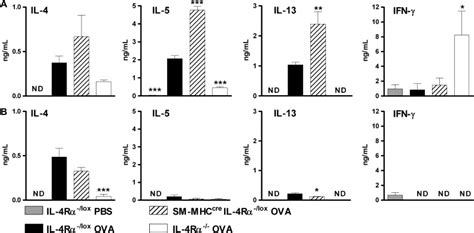 Expression Of Il 4 Receptor α On Smooth Muscle Cells Is Not Necessary