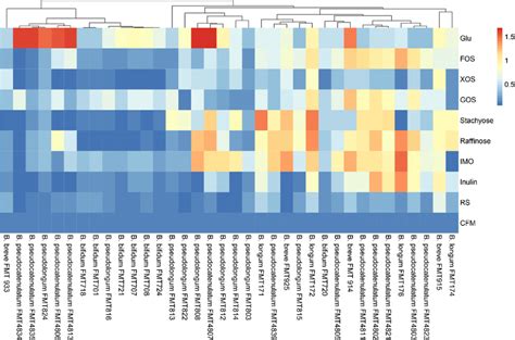 Carbohydrate Utilization Data Of 36 Strains Of Bifidobacteria Were