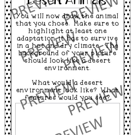 Desert Biome Activity Classful