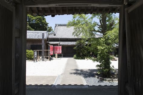 安楽寺たこ阿弥陀 見どころ 日間賀島観光ナビ