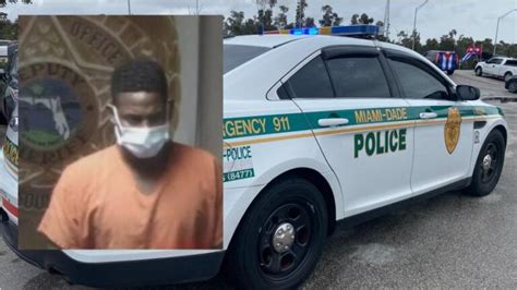 Cubano En Miami Arrestado Tras Robarse Un Auto Y Chocar Contra Una