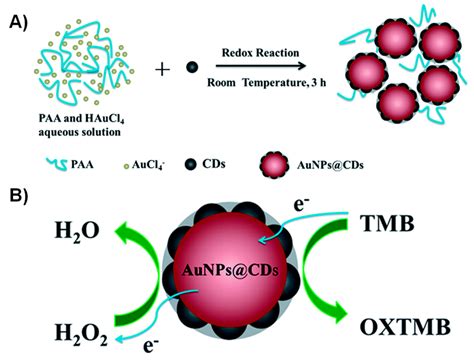 Molecules Free Full Text Carbon Nanodots As Peroxidase Nanozymes