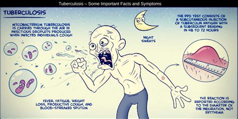 Tuberculosis Types Symptoms Causes Diagnosis And Trea Vrogue Co