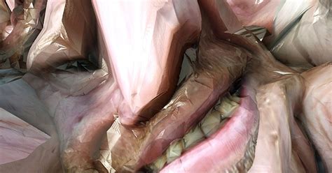 Getting To The Weirdcore Of Aphex Twin Shots Magazine