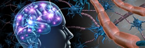 Neural Implants And Brain Plasticity