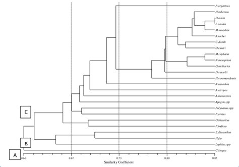 UPGMA Dendrogram Displaying The Species Genetic Distance And Similarity Download Scientific