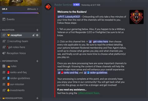 Professionally Design Your Discord Server By Ltcrytzer Fiverr