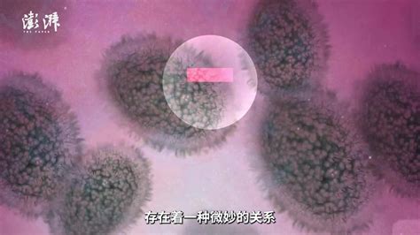 人类与病毒的博弈｜人类唯一胜利的一次凤凰网视频凤凰网