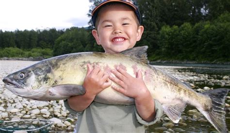 The Future Of Sustainable Omega 3 Fish Oil