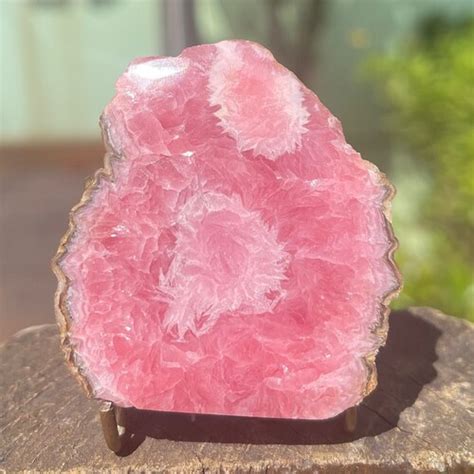 Rocks And Geodes Tiny Rhodochrosite Turtle Home Décor Home And Living Etna