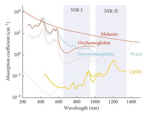Optical Absorption Spectra Of Major Endogenous Chromophores In Tissues