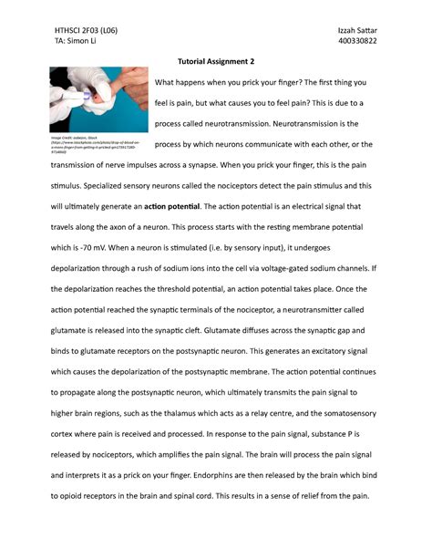 Hthsci 2f03 Tutorial Assignment 2 Hthsci 2f03 L06 Ta Simon Li