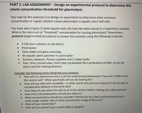 part 2 lab assignment design an experimental