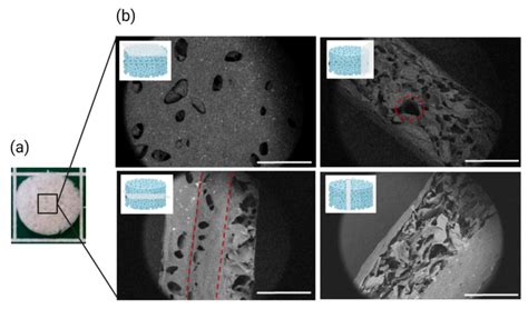 A Image Of The Hydrogel Showing Pores Visible To The Naked Eyes