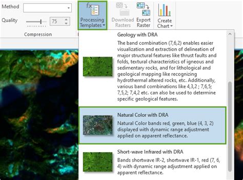Create And Use A Mosaic Dataset Documentation