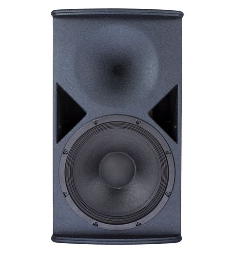 T I PRO Audio Portable Single 10 Inch PA System Full Range Speakers For Meeting And Party Room