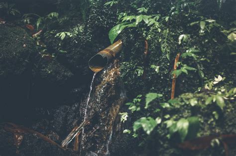 Hydro Jetting Vs Snaking Your Drains What Is Right For You