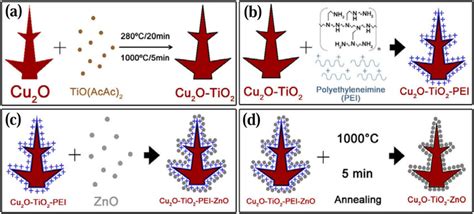 Schematic Synthesis Of The Cu2o Tio2 Zno Ternary Composite Download Scientific Diagram