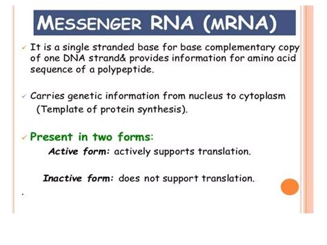 Rna Processing Post Transcriptional Modifications Splicing Capping Poly A Tail Rna Editing