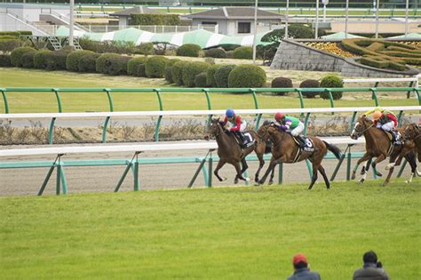 オークス（優駿牝馬）2025消去法データ（過去10年）｜リンクスティップに【00337】危険データ！ ｜ わがまま♪新馬券生活～ふく
