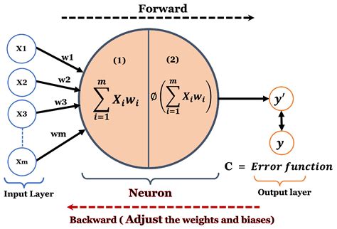 Prediction Enhancement Of Metasurface Absorber Design Using Adaptive