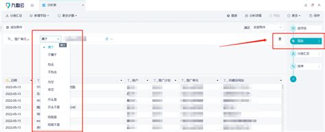 掌握excel数据技巧：轻松实现分类汇总求和