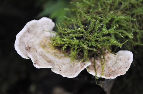 Loteca Valor Loteca Valor Premio 16 05 2025