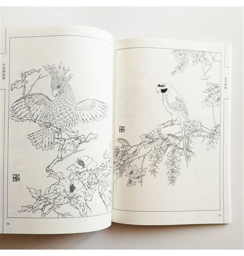 도안 어른 색칠 공부 컬러링북 꽃과 새 그림 컬렉션 아트 북 성인용 색칠하기 책 휴식 및 스트레스 방지 그림 티몬