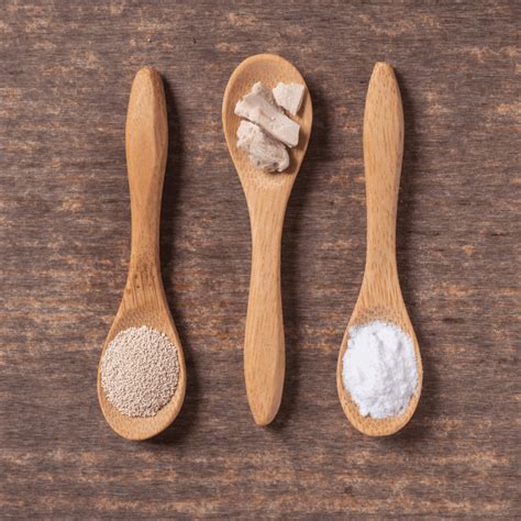 Insanely Easy No Knead Sourdough Discard Bread Recipe Food Over Comfort