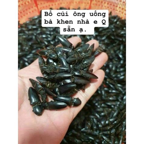 10 Con Con Bổ Củi Sấy Khô 7k1con Shopee Việt Nam