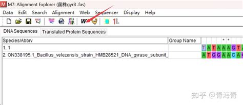 Dnaman 怎样输出基因翻译的氨基酸序列？ 知乎