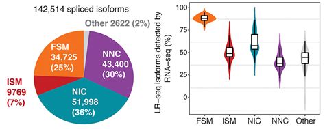 Kickstart Your Cancer Research With Long Read Sequencing