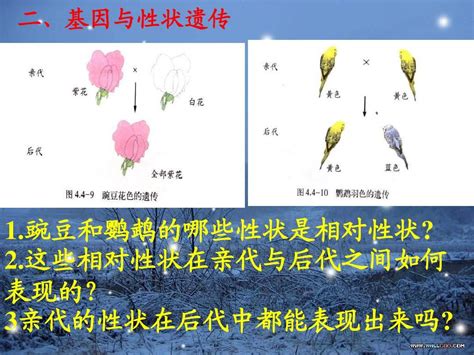 八年级生物性状的遗传 Word文档在线阅读与下载 无忧文档