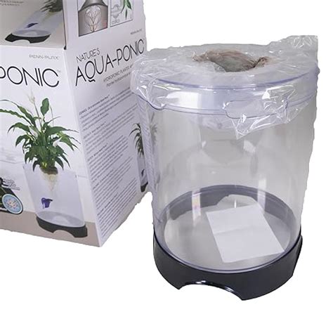 Penn Plax Aquaponic Para Pecera De Pez Betta Promueve Un Ambiente