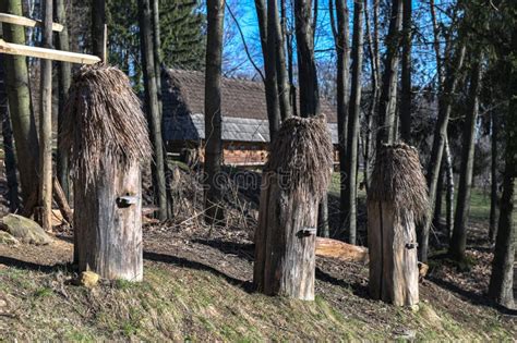 Authentic Beehive Made Of Logs The Old Apiary Stock Photo Image Of