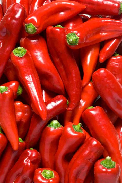 20 Seeds Paprika Pepper Seeds Z105capsicum Annuum Non Gmo Etsy
