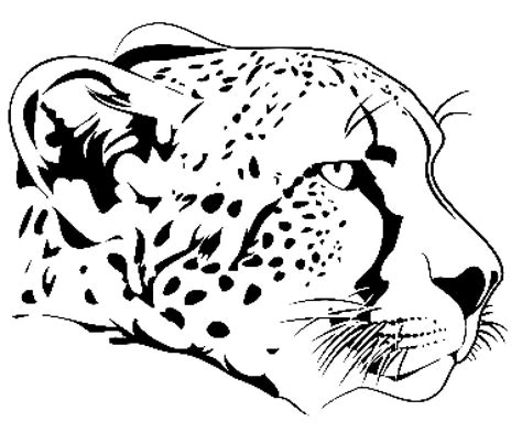 Coloriage Guépard Gratuit Télécharger Et Imprimer Gratuit Sur