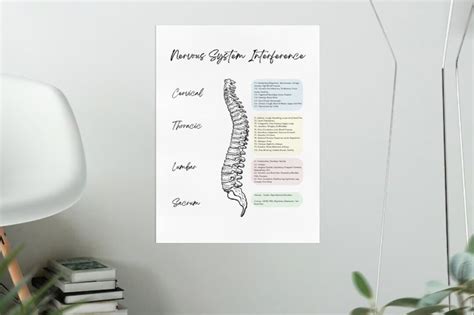 Ans Interference Poster Chiropractic Digital Download Etsy