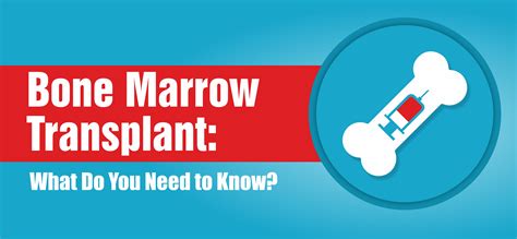 Bone Marrow Transplant What Do You Need To Know Aakash Healthcare