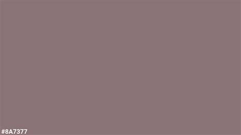 Pantone 18 1807 Tpg Twilight Mauve 8a7377 Detailed Color