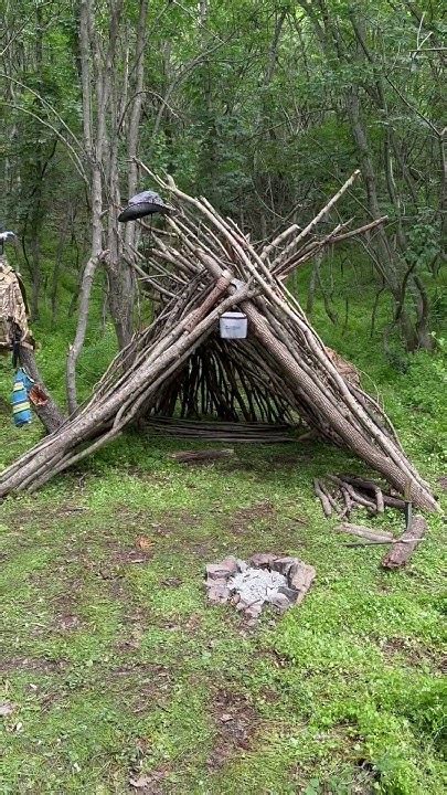 ხის ქოხი ავაშენე ტყეში ახალი ქართული ვიდეო Shorts ბბრვაილდი Youtube