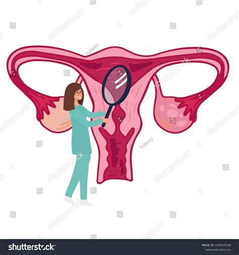 Female Menstrual Cycle Landing Page Female Stock Vector Royalty Free
