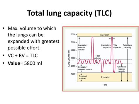 Lung Volumes Equations At Joan Dudley Blog