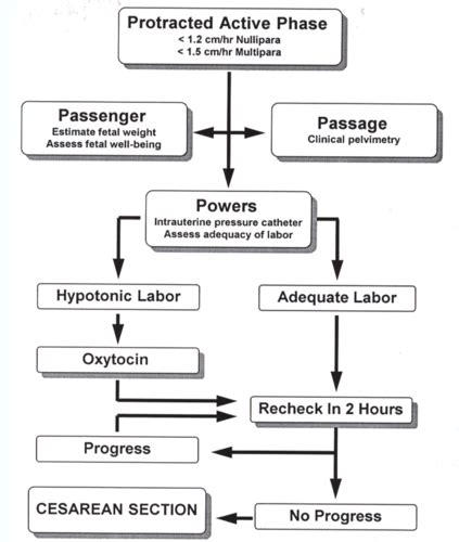 Abnormal Labor And Delivery Flashcards Quizlet