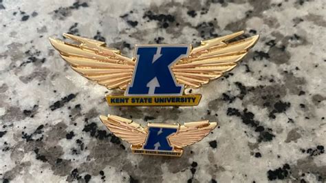 Airlines Pilot Wings Mentoring Mentorship Mentorshipmatters