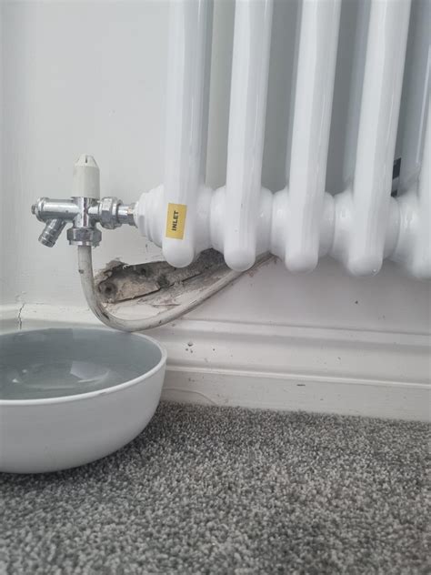 Radiator Fitting R Diyuk